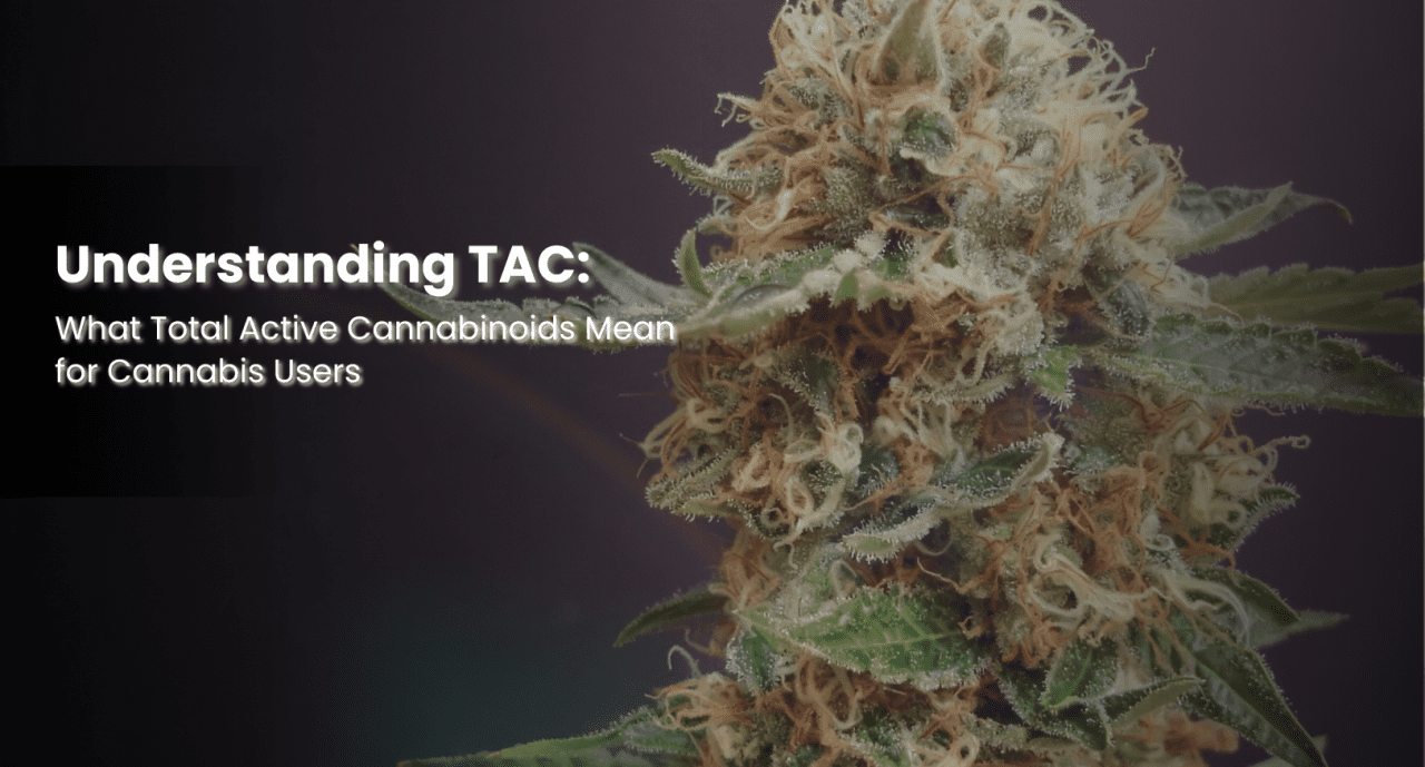Understanding TAC in THC Cannabis: What Users Need to Know
